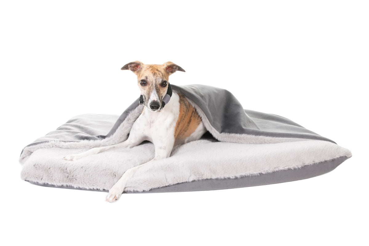 The Best Types Of Dog Beds For The Hound Breeds – Hugo & Otto
