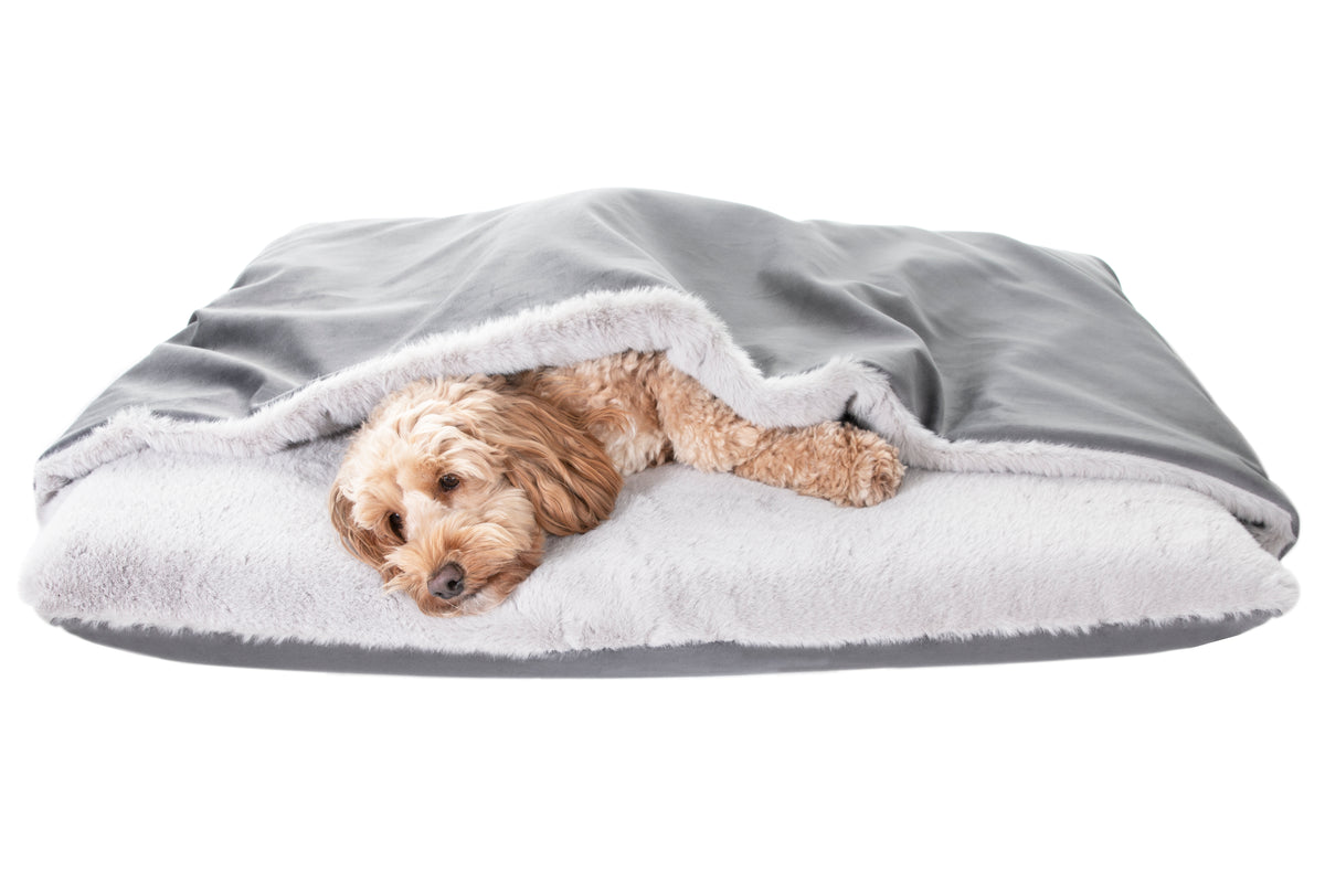Luxury Snuggle Dog Beds – Hugo & Otto