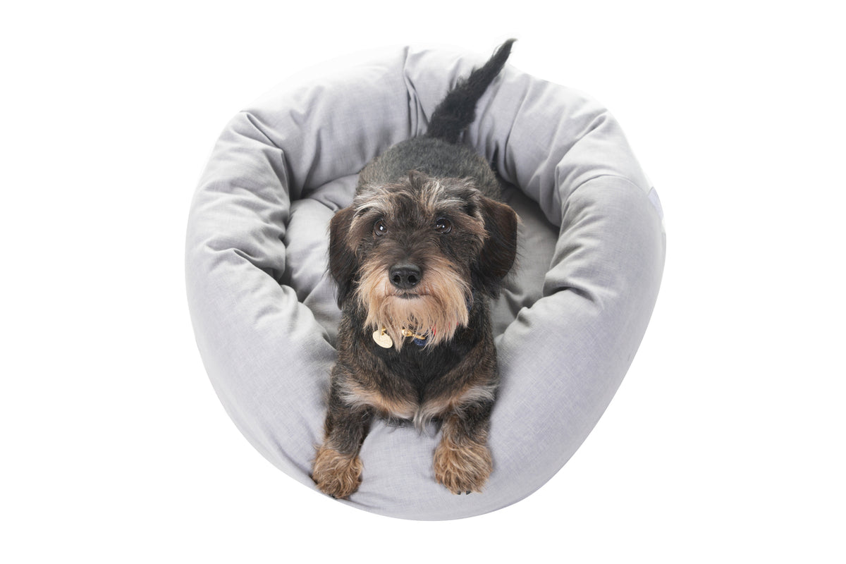 Luxury Donut Dog Beds – Hugo & Otto