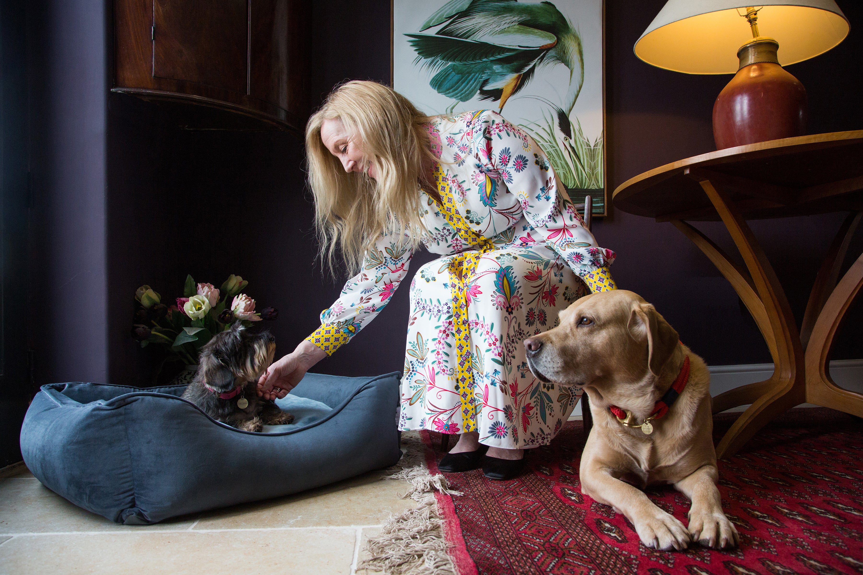 Hunter Bolster Dog Bed - Luxury Green Velvet & Silver Fox Faux Fur ...